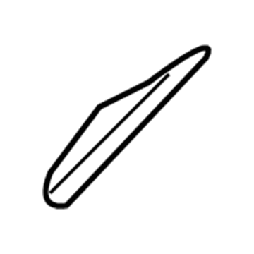 Front Moulding - 2021 Lexus RX350 NAP