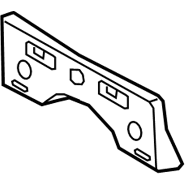 Genuine Lexus LC500 License Plate